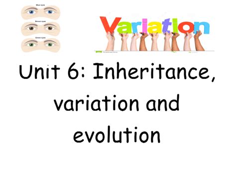 Aqa Unit 6 Part 2 Variation And Inheritance Combined Science Revision