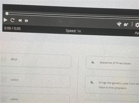 [answered] ch 0 00 0 05 trna codon mrna speed 1x a sequence of three
