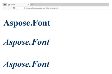 Css Fonts Asposefont Api Solution