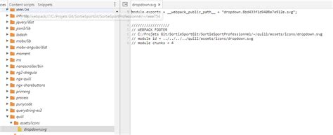 Angular Dropdown Icon In Custom Quill Theme Not Showing Correctly