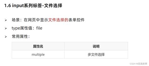 前端学习Day 标签 CSDN博客