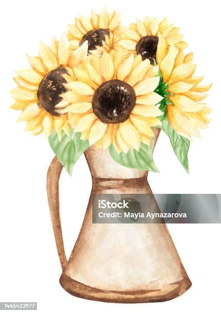 꽃병에 해바라기 꽃다발 클립 아트 수채화 초원 꽃 소박한 야생화 꽃다발 결혼식 초대장 베이비 샤워 로고 0명에 대한 스톡 벡터 아트 및 기타 이미지 Istock