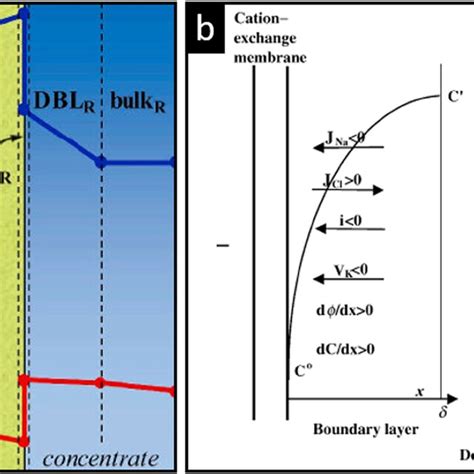 diagram of boundary layers a boundary scheme according to campione et