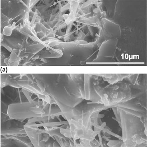 Sem Micrographs And Xrd Patterns For Tcp Sc Nanowhiskers A Low And