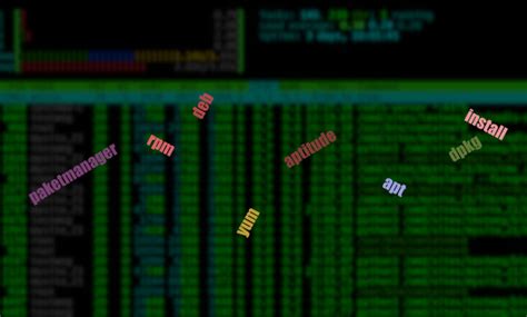 Linux Terminal Basics Software Installieren Tutonaut