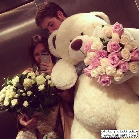 صور دبدوب كيوت حلو صور دباديب عيد الحب كلمات وعبارات، أفضل موقع عربي