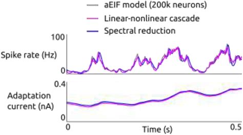 Simulation Of A Large Population Of Adaptive Exponential Download
