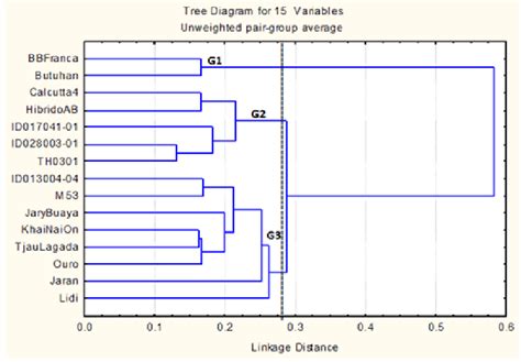 dendrogram generated with 15 banana genotypes with different patterns