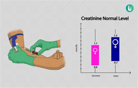 Creatinine Test Procedure Purpose Results Normal Range Cost Price