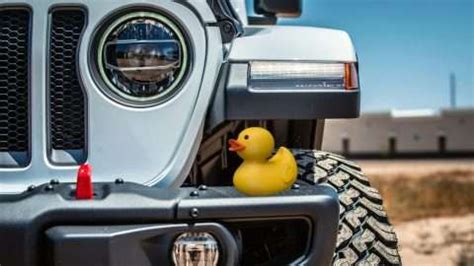 Duck Duck Jeep The Bizarre Story Of Jeep Ducking Motm