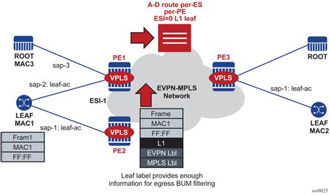 5 Ethernet Virtual Private Networks EVPNs