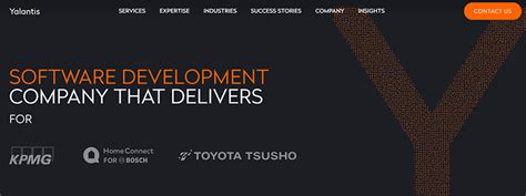 Top 14 Software Development Companies Plerdy