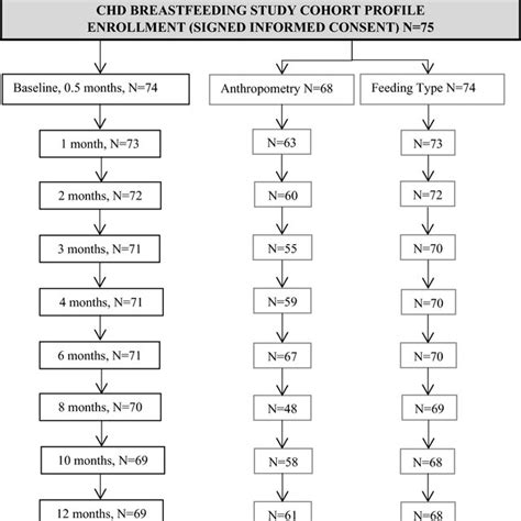 Cohort Profile And Primary Outcome Measures By Timepoint Informed Download Scientific Diagram