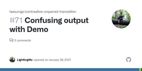 Confusing Output With Demo Issue Taesungp Contrastive Unpaired Translation GitHub