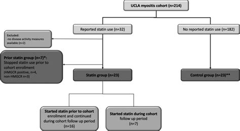 Flowchart Of Patient Groups Patients That Discontinued Statin Prior