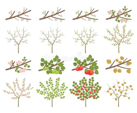Budding Tree Vector Stock Illustrations 128 Budding Tree Vector Stock