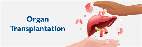 Organ Transplantation At Medicover Hospital - Enquire Now