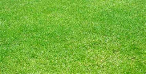 What Does Lime Application To Soil Really Do