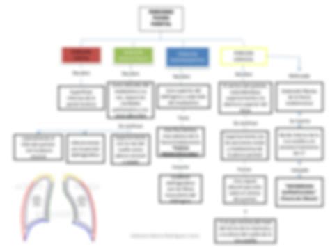 SOLUTION: Anatomia mapa conceptual pulmon y corazon - Studypool