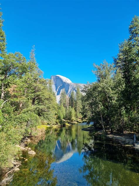 줌줌 후기 요세미티 국립공원 하루만에 보기 당일 짠내투어 글래시어 포인트 포함 샌프란 출발 박대