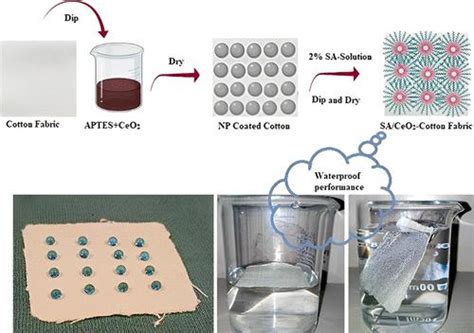 硬脂酸和 Ceo2 纳米颗粒共功能化棉织物，具有增强的防紫外线、自清洁、防水和抗菌性能 Langmuir X Mol