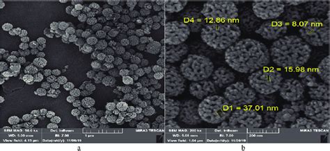 SEM Of Fe O SiO KCC A Morphology And B Particle Size Download Scientific Diagram