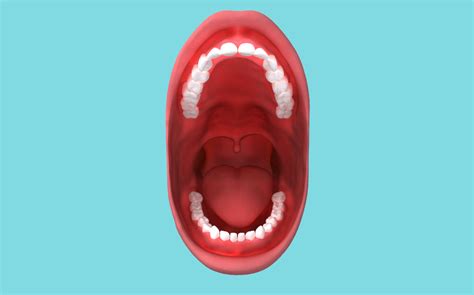 Прање зуба - 3D модел - Mozaik дигитално образовање и учење