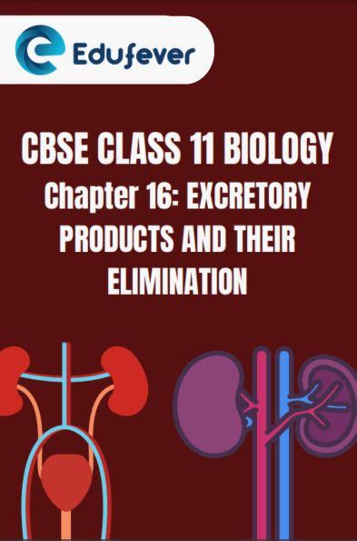Cbse Class Biology Excretory Products And Their Elimination Notes