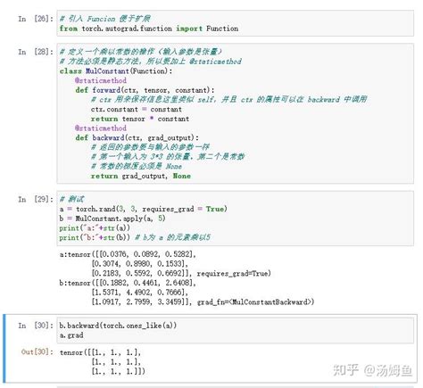 PyTorch学习笔记之自动求导AutoGrad 知乎