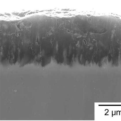 Sem Image Of The Cross Section Of The Carburized Specimen After