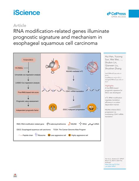 Pdf Rna Modification Related Genes Illuminate Prognostic Signature