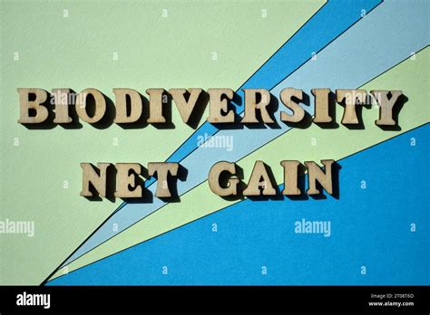Biodiversity Net Gain Words In Wooden Alphabet Letters Isolated On