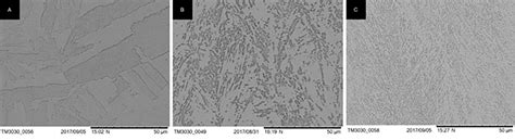 Effect Of Hot Deformation On Microstructure Of Samples Solutionized At