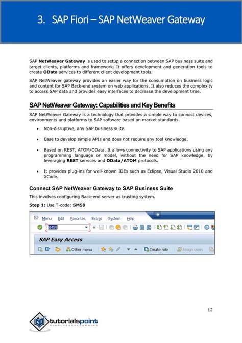Sap Fiori Tutorial Pdf Computer Software And Applications Computing