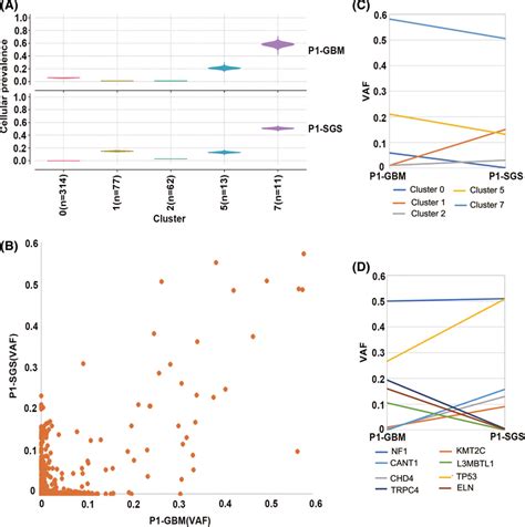clustering and clonal evolution of somatic mutations a clustering of