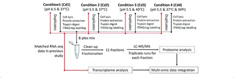 experimental design for itraq based proteomic and matched