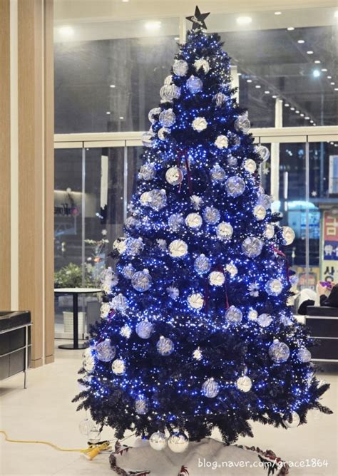 대전 복합터미널 크리스마스트리 24시 카페 루트커피 네이버 블로그