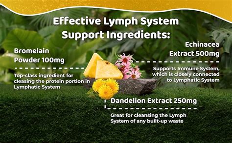Natures Blast Lymph Go Pineapple Lymphatic Support Supplement Blend For Women And
