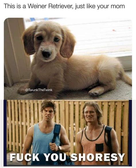 Letterkenny Letterkenny Stuart Shoresy Wallpaper Letterkenny Memes