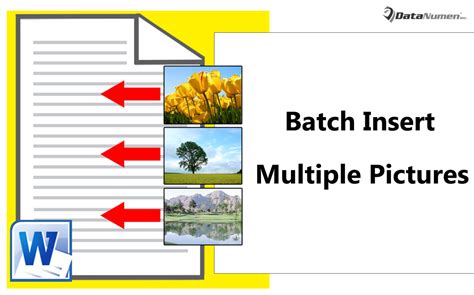 How To Batch Insert Multiple Pictures To Your Word Document