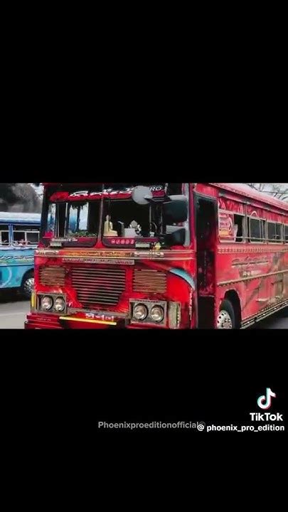 ෆීනික්ස් කුරුල්ලා 🤗🚌🤗🤩 Youtube