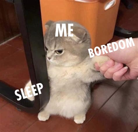 Lazy On Twitter Time To Fuck Up The Sleep Schedule Https T Co IaH24KVbS5 Https T Co