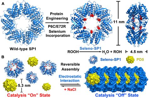 Controllable Antioxidant System Based On The Reversible Self‐assembly Download Scientific
