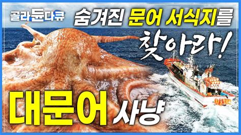 ‘말 그대로 30kg 대왕문어 거친 파도를 가르며 동해 대문어를 사냥하는 바다 사나이들바다 한복판에서 즐기는 시원한 해물 라면통발 문어 잡이포항 구룡포한국기행