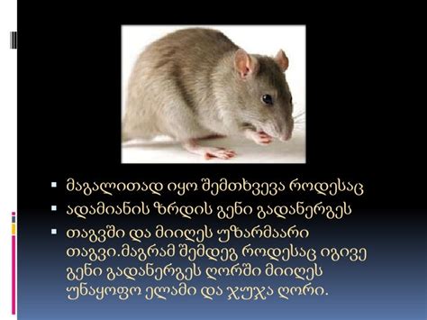 გენმოდიფიცირებული საკვები და ემულგატორები Copy Copy