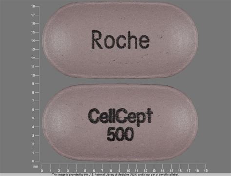 Cellcept Mycophenolate Mofetil Oral Injection Side Effects Interactions Uses Dosage