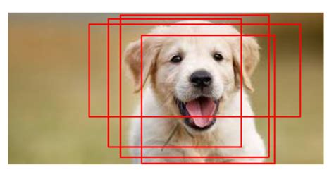 Selecting The Right Bounding Box Using Non Max Suppression