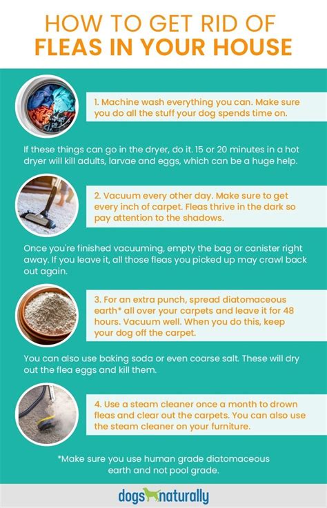 How Do I Get Rid Of Fleas On My Dog Home Remedy