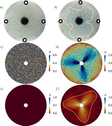 Figure 5 From A Darcycahnhilliard Model Of Multiphase Fluid Driven