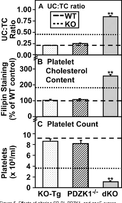 Figure 5 From Thrombocytopenia And Platelet Abnormalities In High Density Lipoprotein Receptor